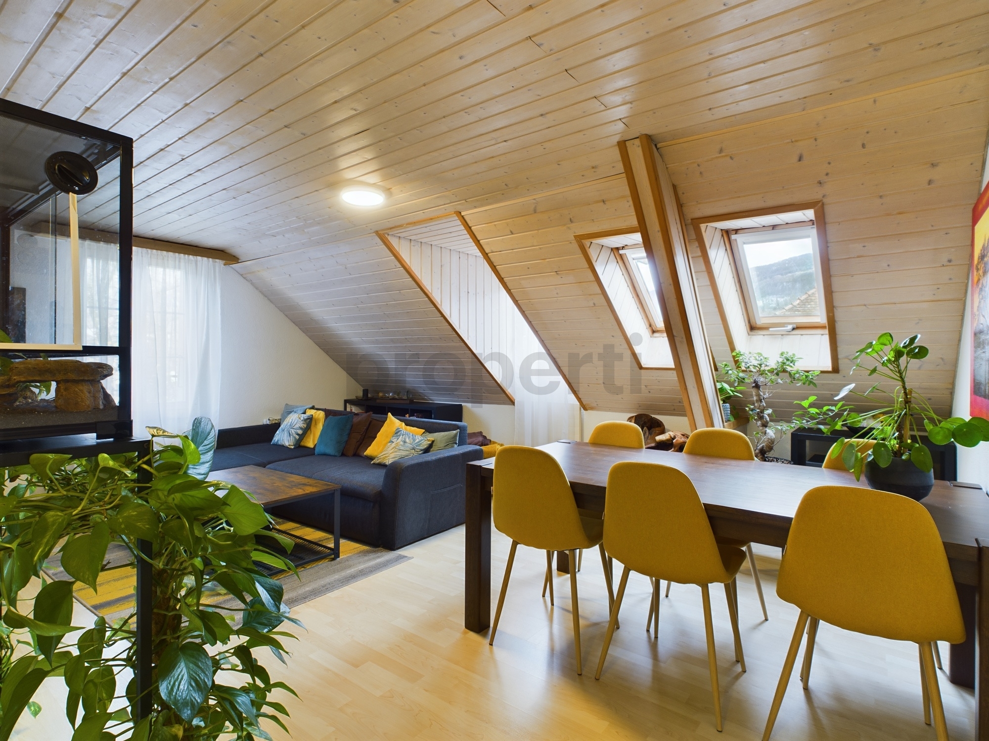 Heimelige 2.5-Zimmer-Dachwohnung in Balsthal